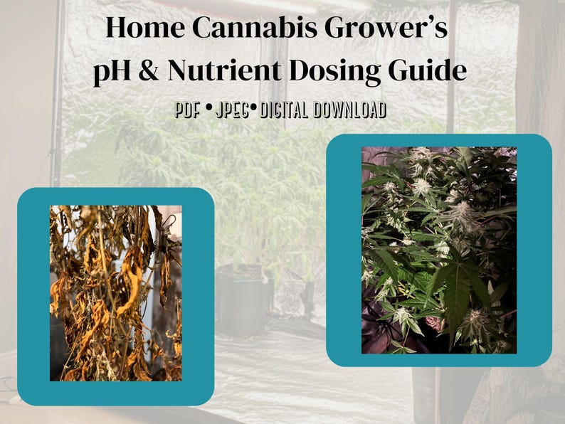 Cannabis Ph and Nutrient Dosing Chart | Soil, Hydroponics (printable ...