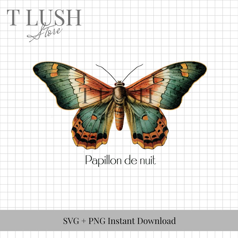 Butterflies Svg, Butterfly Png, Moth Svg, Butterfly Clip Art ...