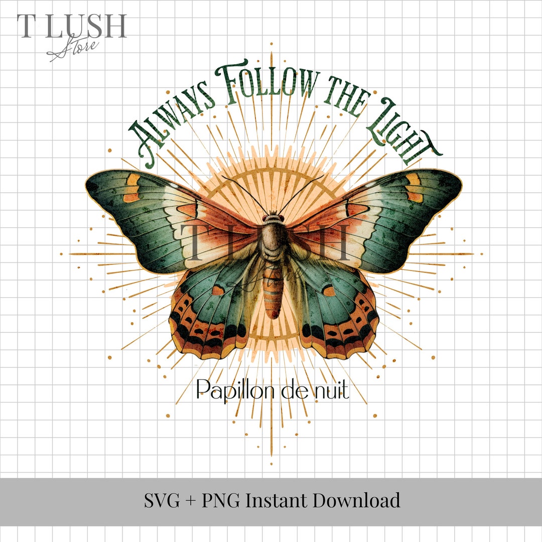 Butterflies Svg, Butterfly Png, Moth Svg, Butterfly Clip Art ...