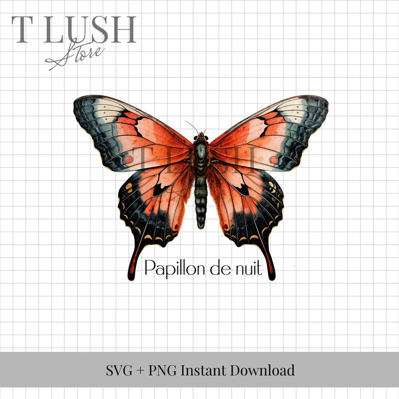 Butterfly Svg, Moth Svg, Butterflies Svg, Butterfly Png, Butterfly Clip ...