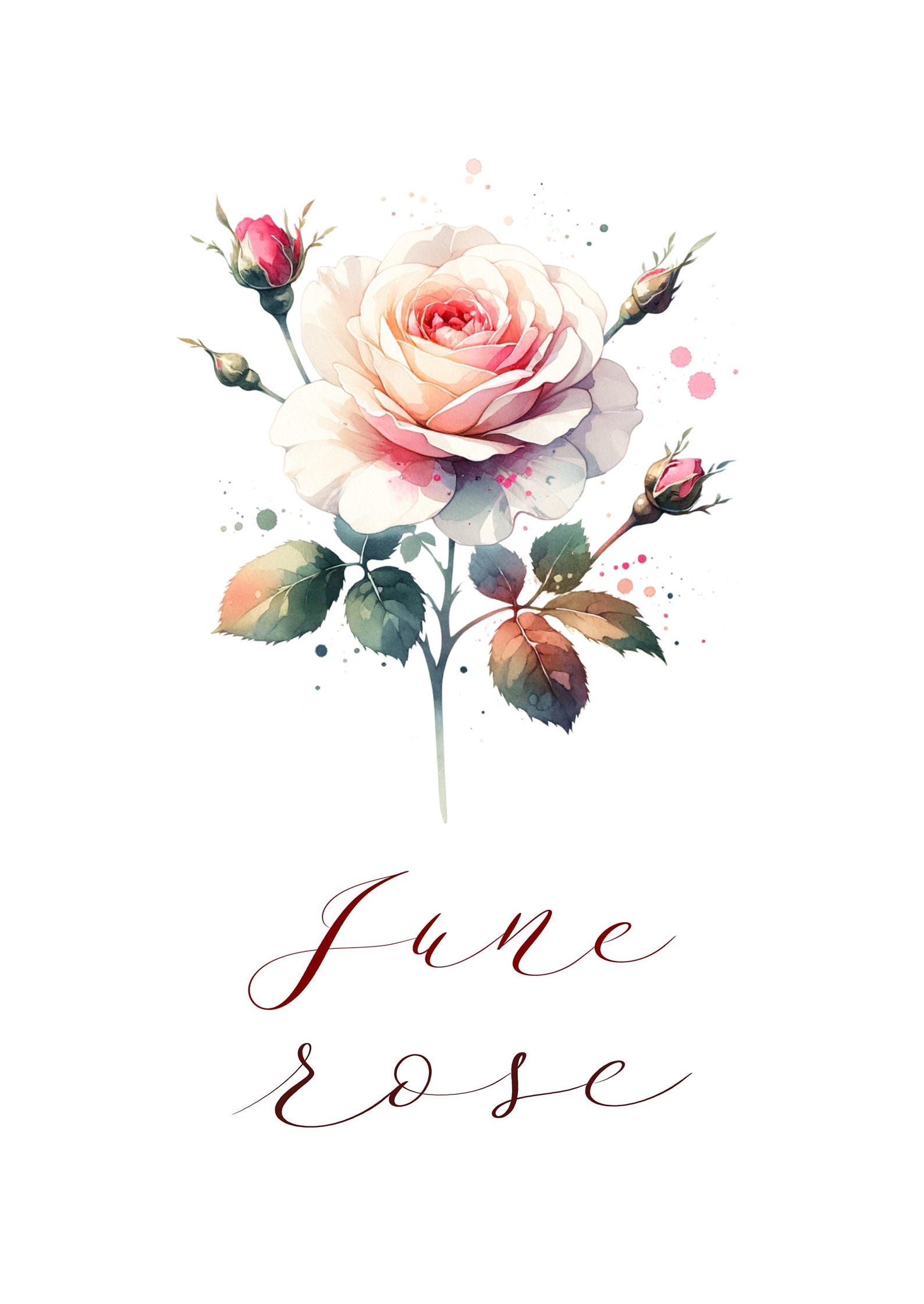 June Rose Birthflower Wall Art | Botanical Print | Watercolor Rose ...