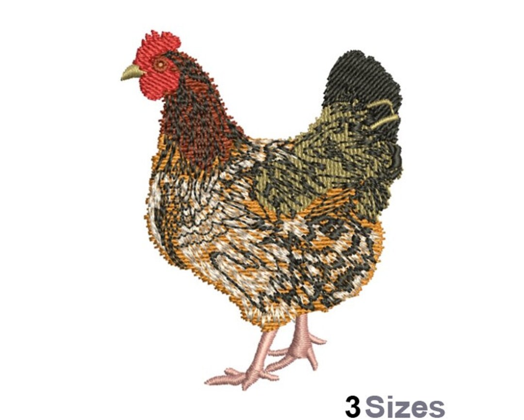 Hen - Machine Embroidery Design - 3 Sizes, Chicken Embroidery Pattern ...