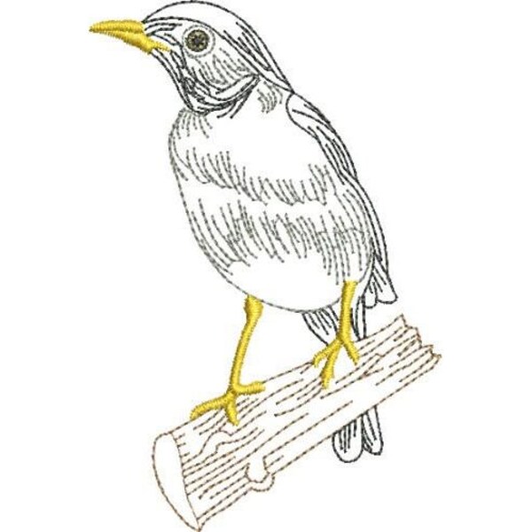 Sandpiper Embroidery - Etsy