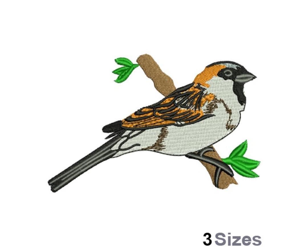 Sparrow - Machine Embroidery Design - 3 Sizes, Sparrow on Tree Branch ...