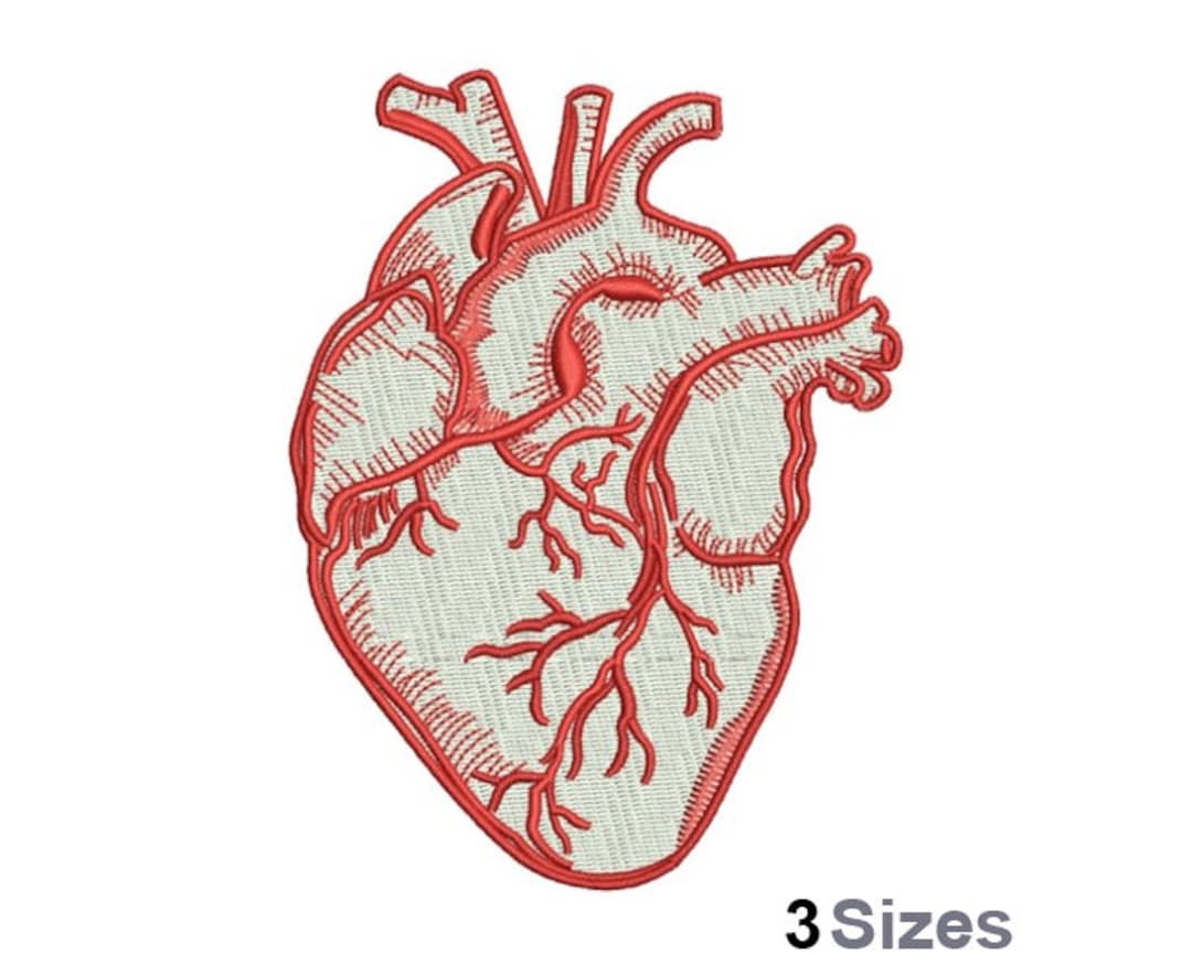 Heart Organ - Machine Embroidery Design - 3 Sizes, Human Heart ...