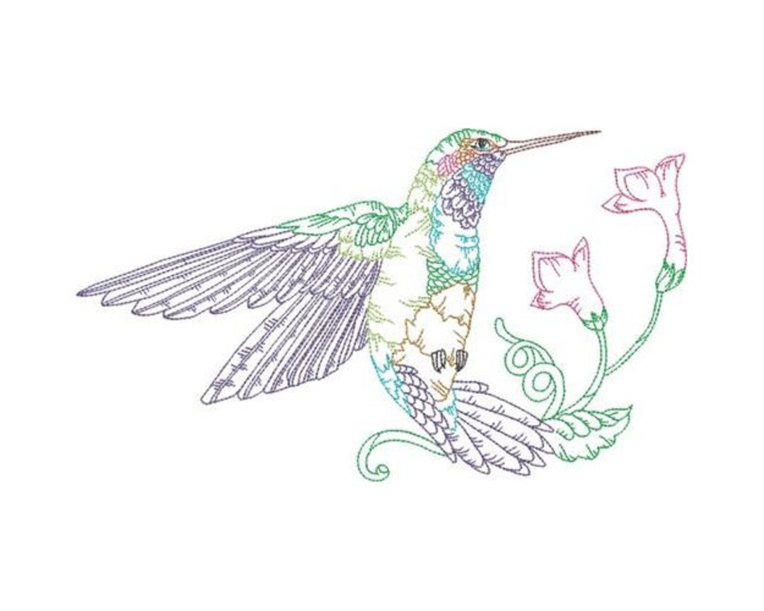 Large Hummingbird Machine Embroidery Design, Feeding Hummingbird ...