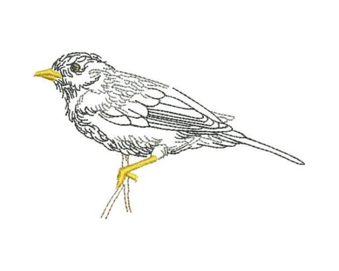 Sketched Bird Machine Embroidery Design, Sketched Songbird Embroidery ...