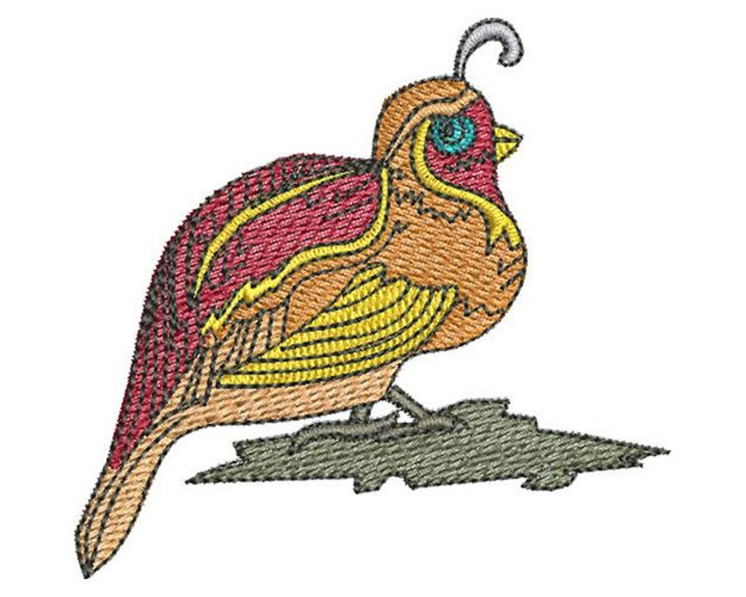 Colorful Quail - Machine Embroidery Design, Quail Embroidery Pattern ...