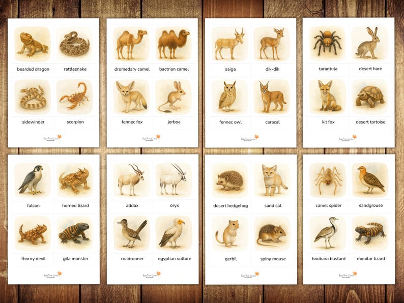 32 Desert Animals Flashcards | Montessori 3-part Cards | Wildlife for ...