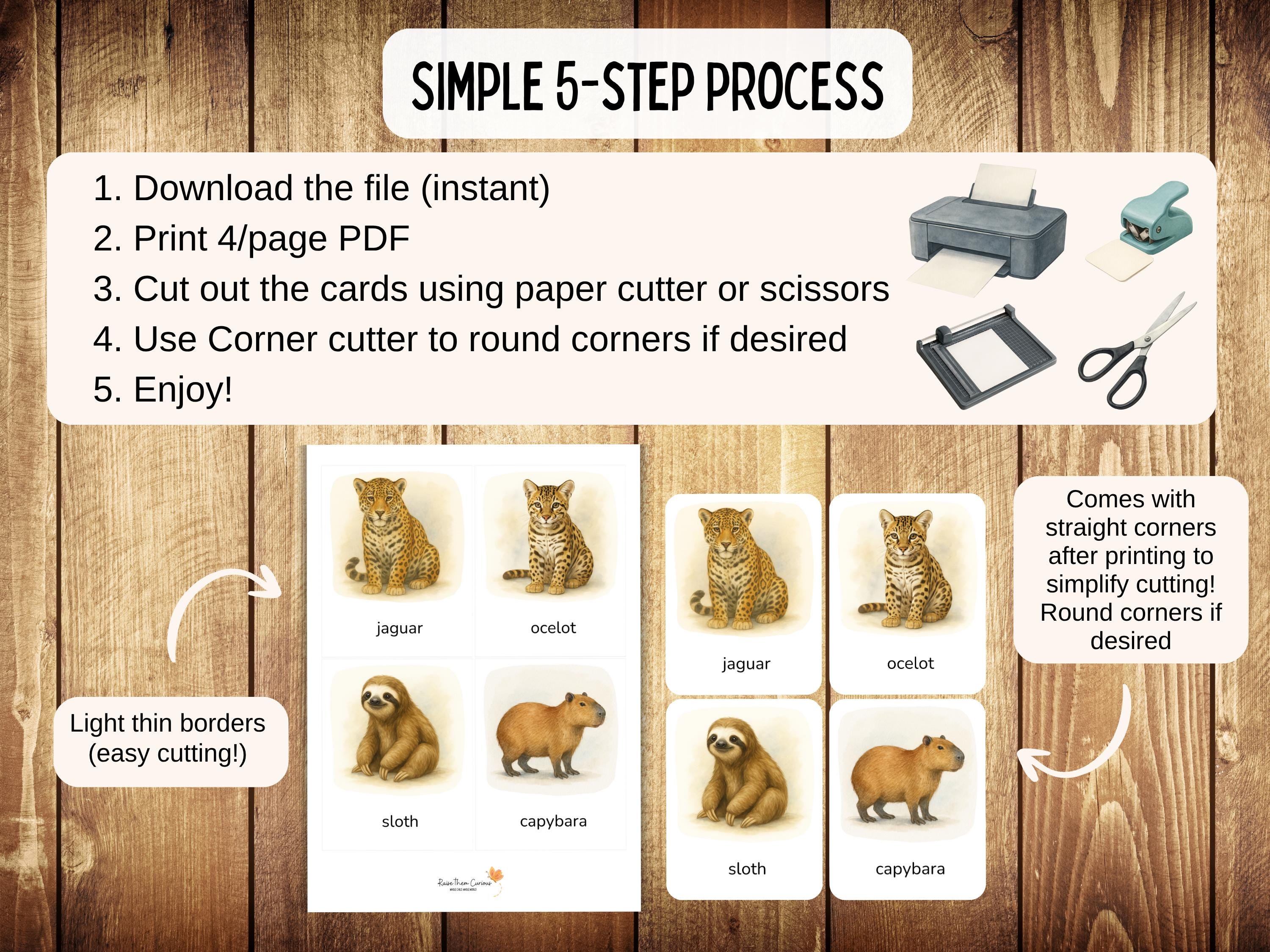 32 Rainforest Animals Flashcards | Montessori 3-part Cards | Wildlife ...