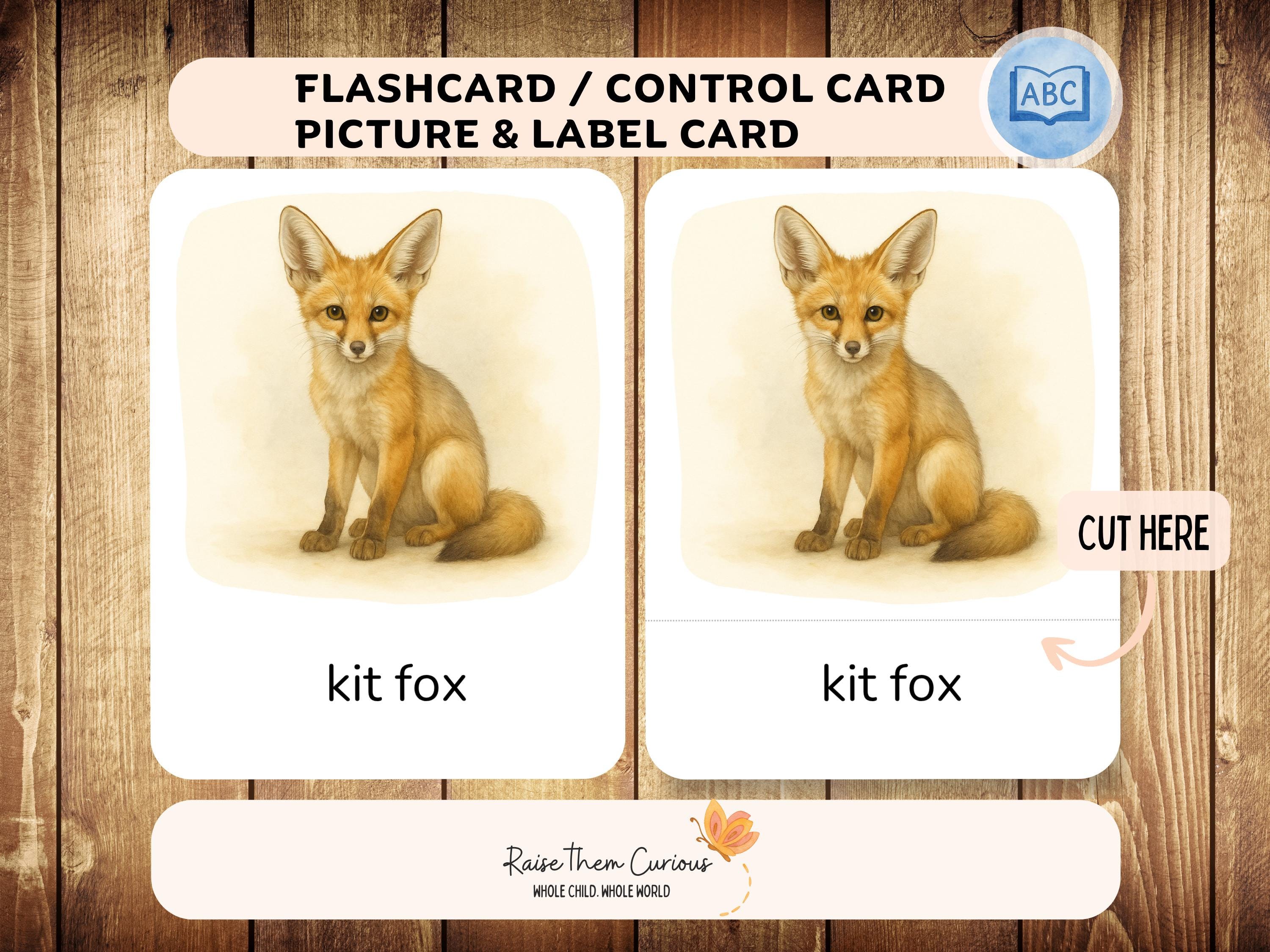 32 Desert Animals Flashcards | Montessori 3-part Cards | Wildlife for ...