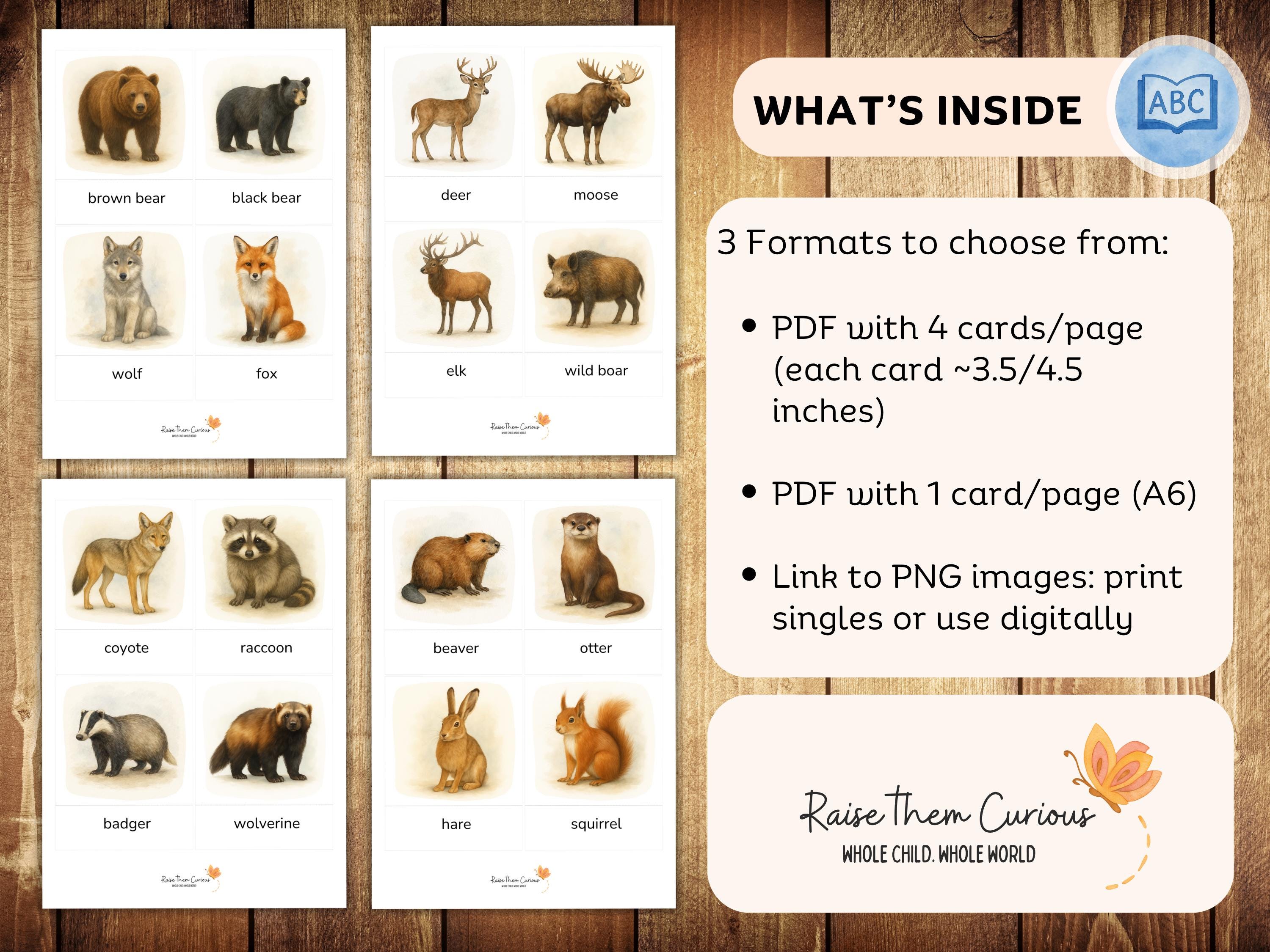 32 Woodland & Forest Animals Flashcards | Montessori 3-part Cards ...