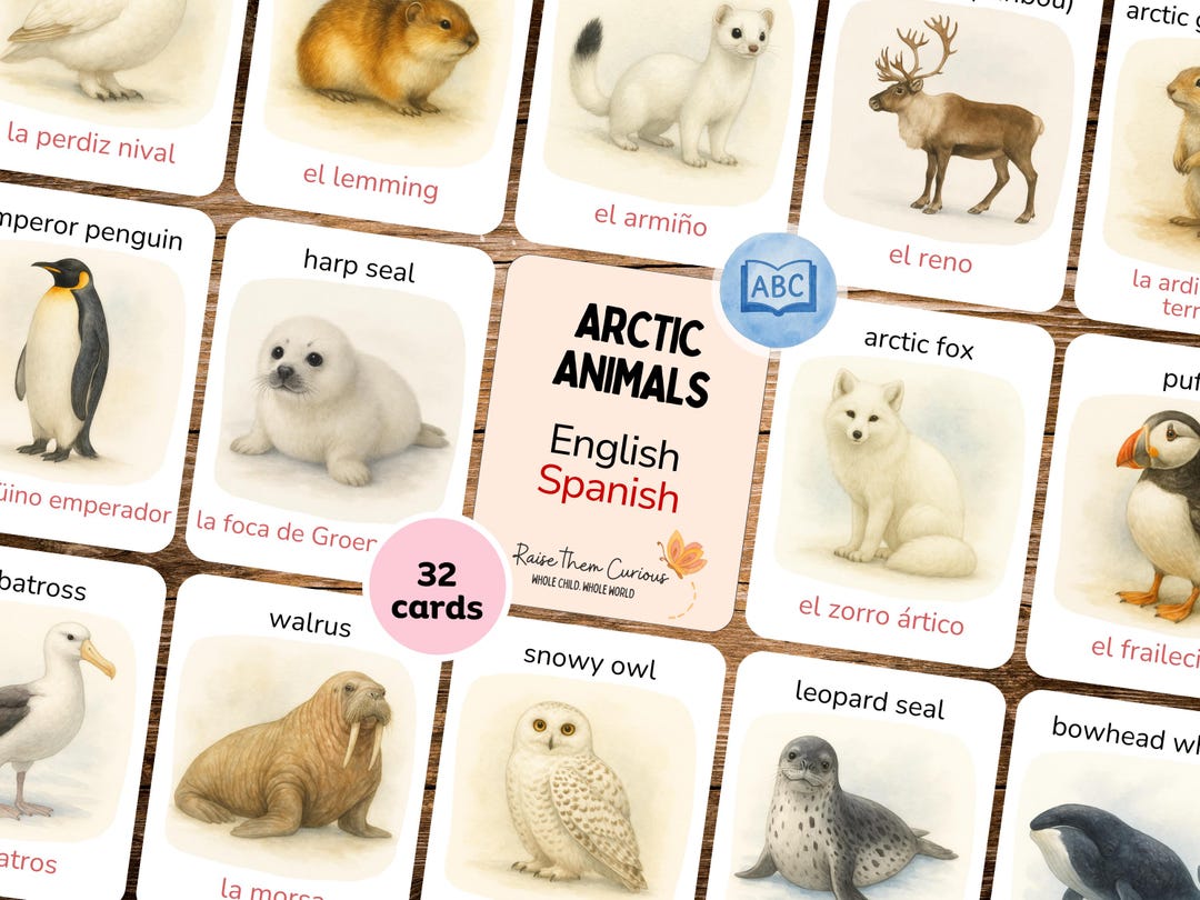 32 Bilingual Arctic Animals Flashcards | English - Spanish | Wildlife ...
