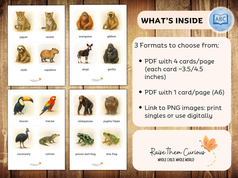 32 Rainforest Animals Flashcards | Montessori 3-part Cards | Wildlife ...