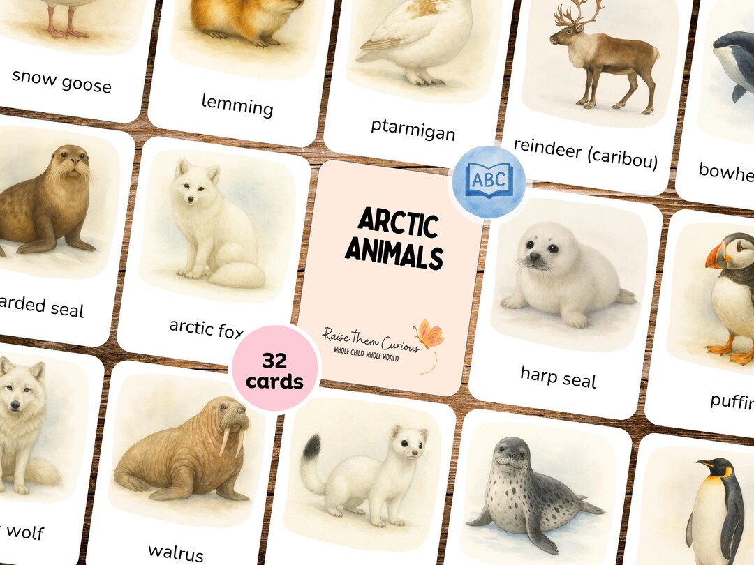 32 Arctic Animals Flashcards | Montessori 3-part Cards | Wildlife for ...