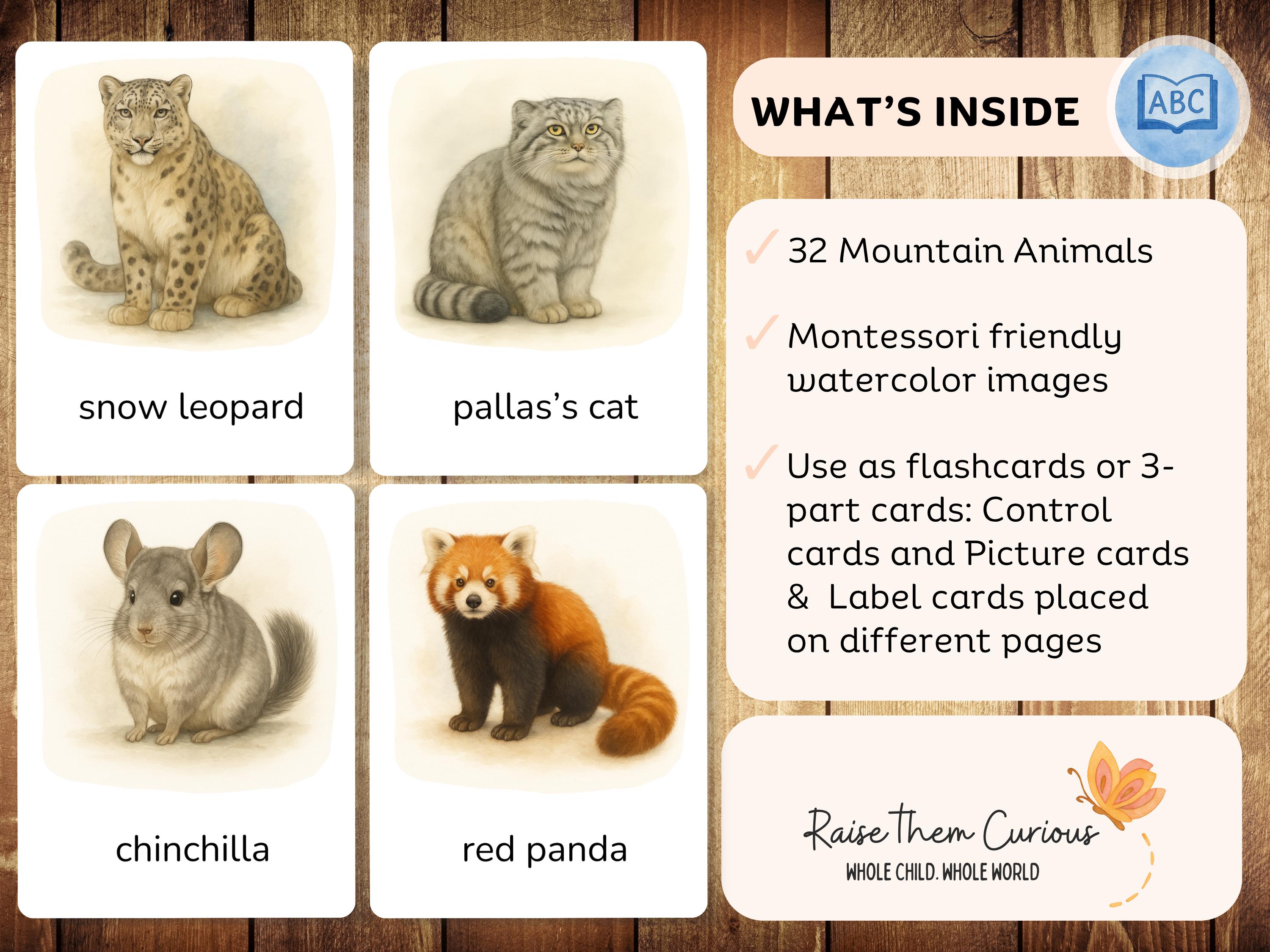 32 Mountain Animals Flashcards | Montessori 3-part Cards | Wildlife for ...