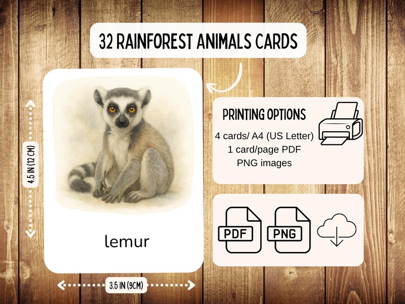 32 Rainforest Animals Flashcards | Montessori 3-part Cards | Wildlife ...