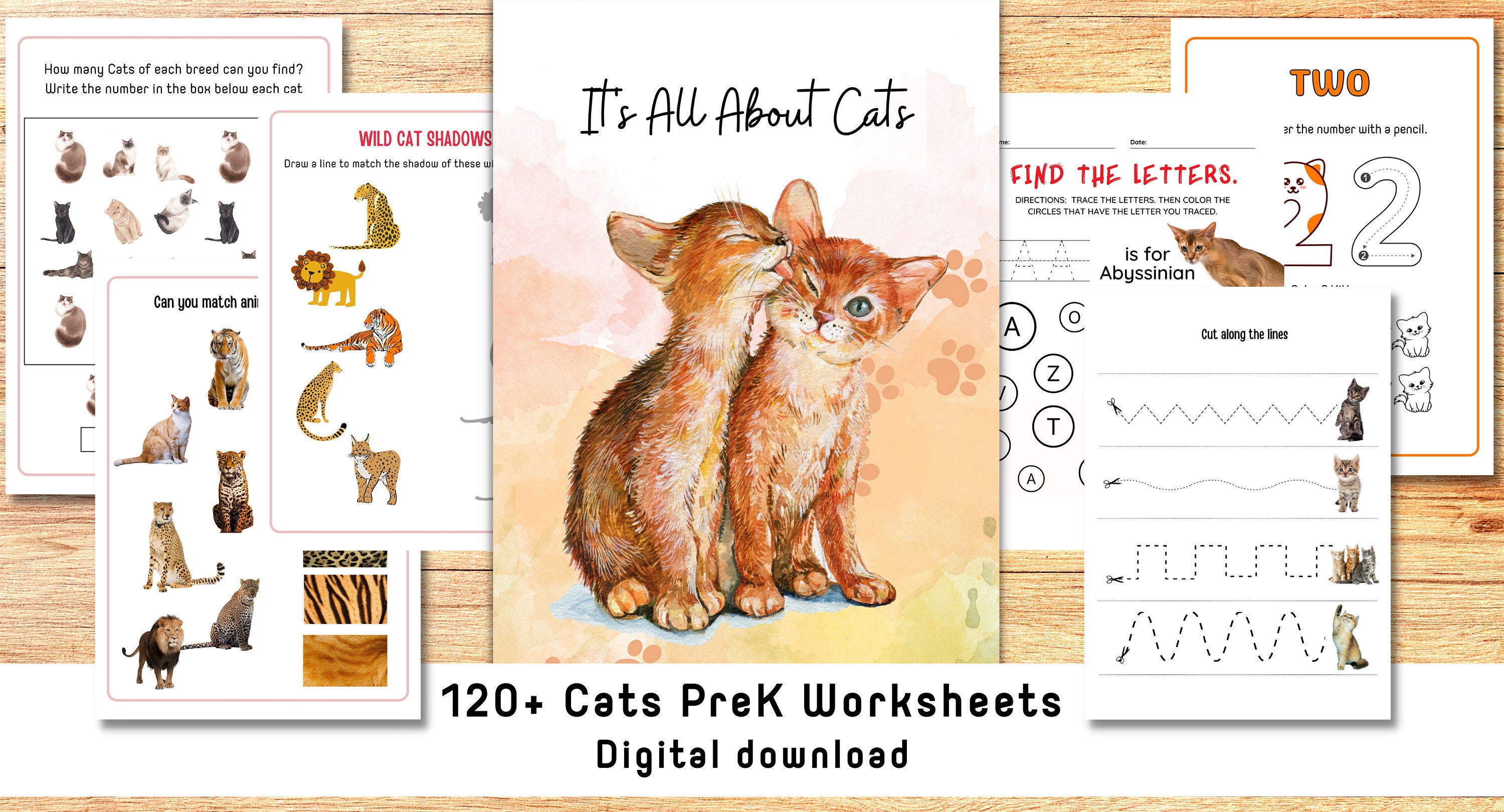 Worksheets Fact Cats