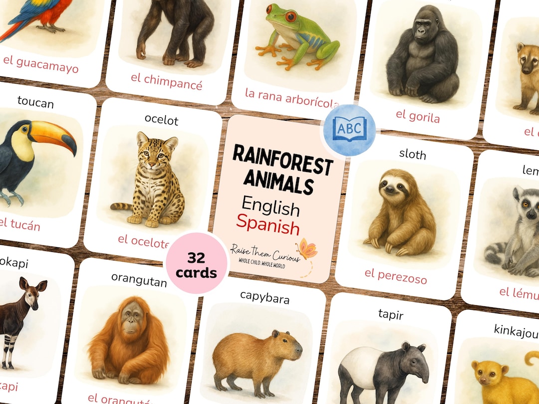 32 Bilingual Rainforest Animals Flashcards | English - Spanish ...