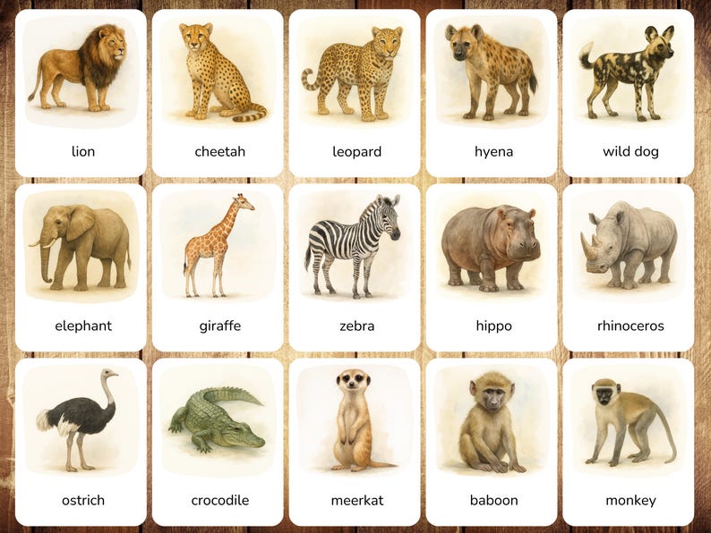 32 Safari Animals Flashcards | Montessori 3-part Cards | Wildlife ...