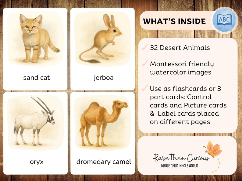 32 Desert Animals Flashcards | Montessori 3-part Cards | Wildlife for ...