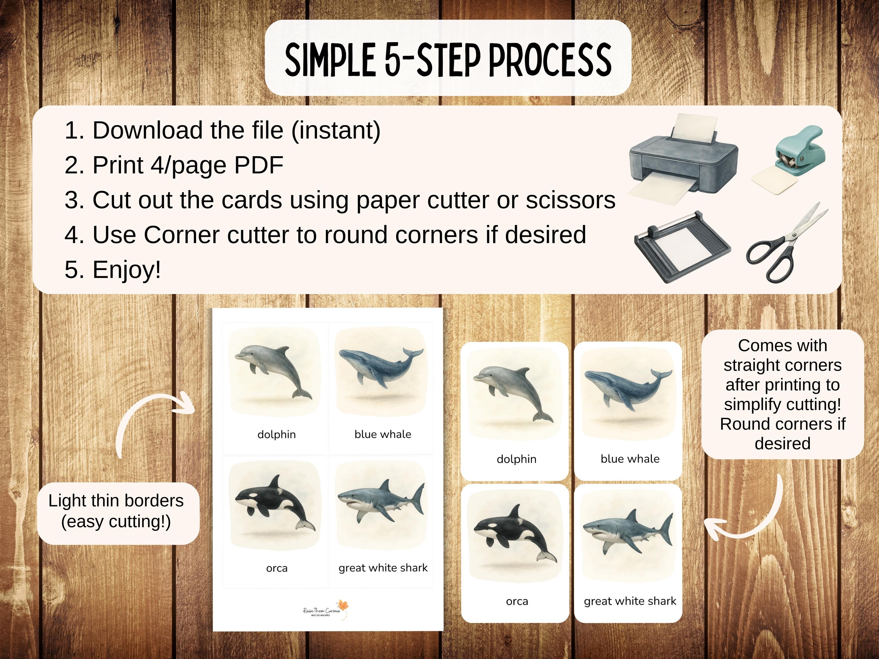 32 Sea Animals Flashcards | Montessori 3-part Cards | Wildlife for Kids ...