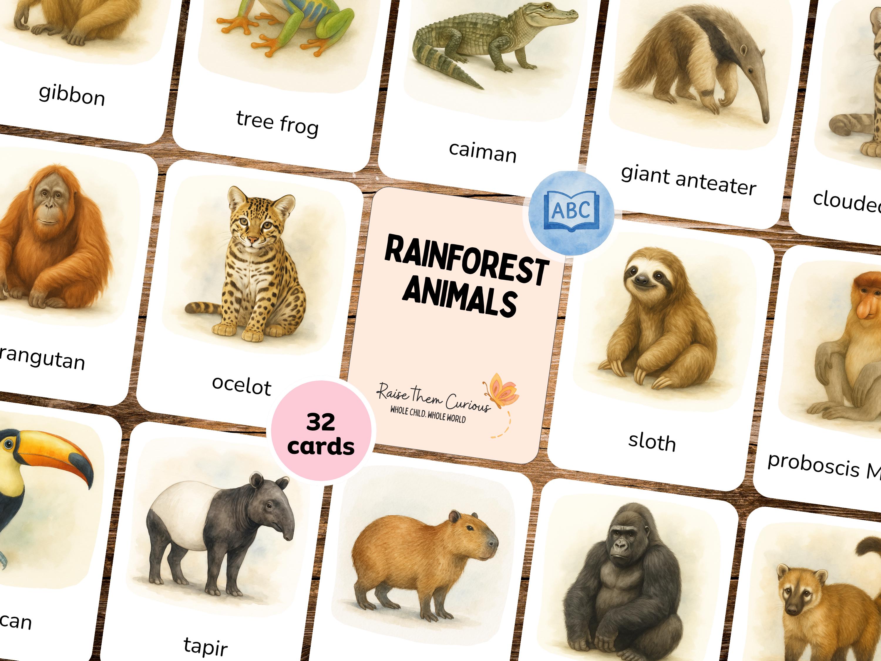 32 Rainforest Animals Flashcards | Montessori 3-part Cards | Wildlife ...