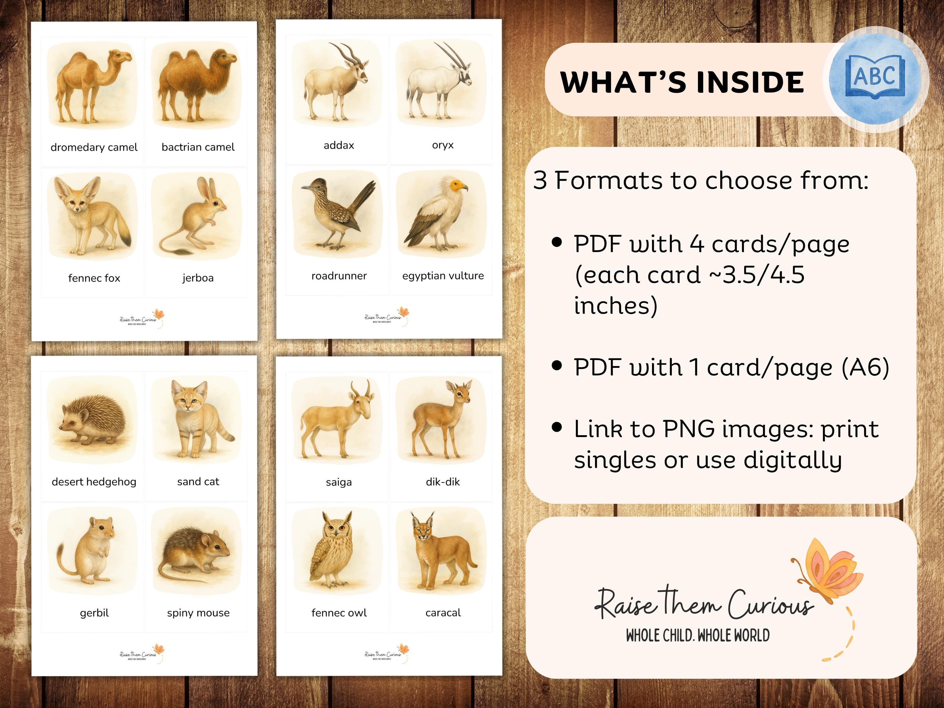32 Desert Animals Flashcards | Montessori 3-part Cards | Wildlife for ...