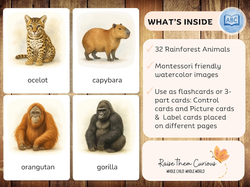 32 Rainforest Animals Flashcards | Montessori 3-part Cards | Wildlife ...