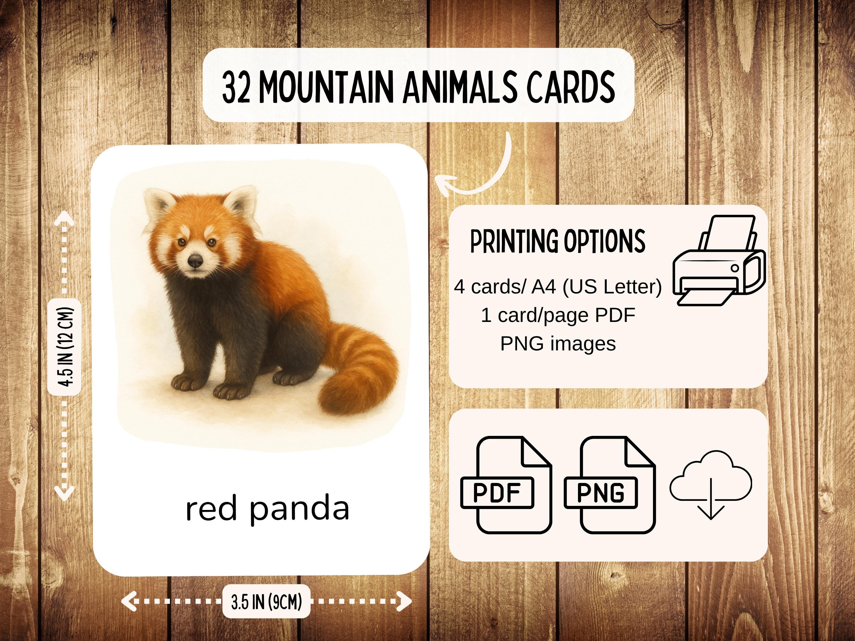 32 Mountain Animals Flashcards | Montessori 3-part Cards | Wildlife for ...