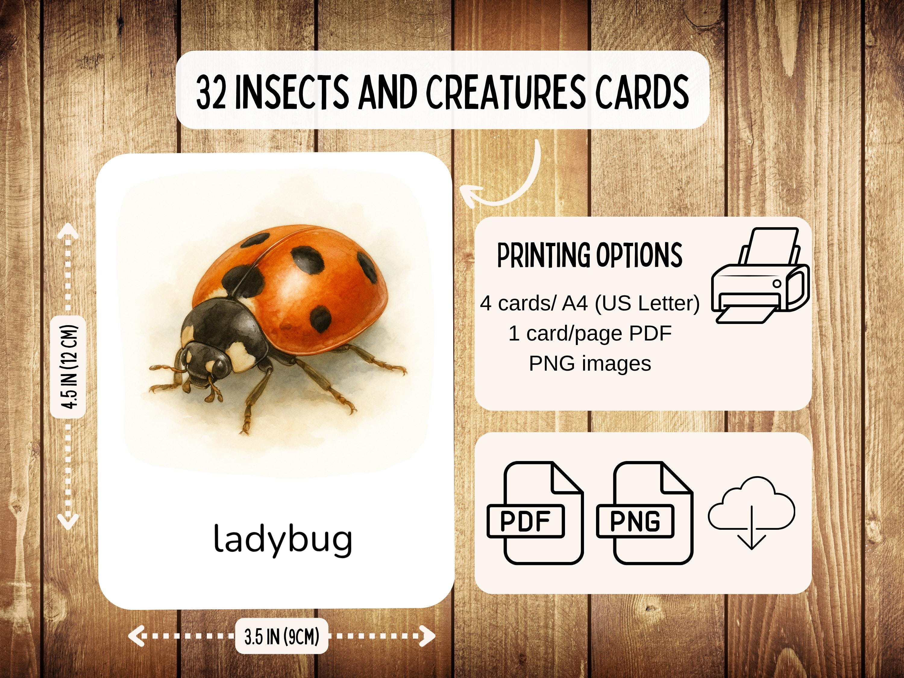 32 Insects & Creatures Flashcards | Montessori 3-part Cards | Wildlife ...