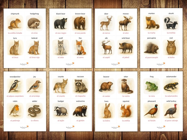 32 Bilingual Forest Animals Flashcards | English - Spanish | Woodland ...