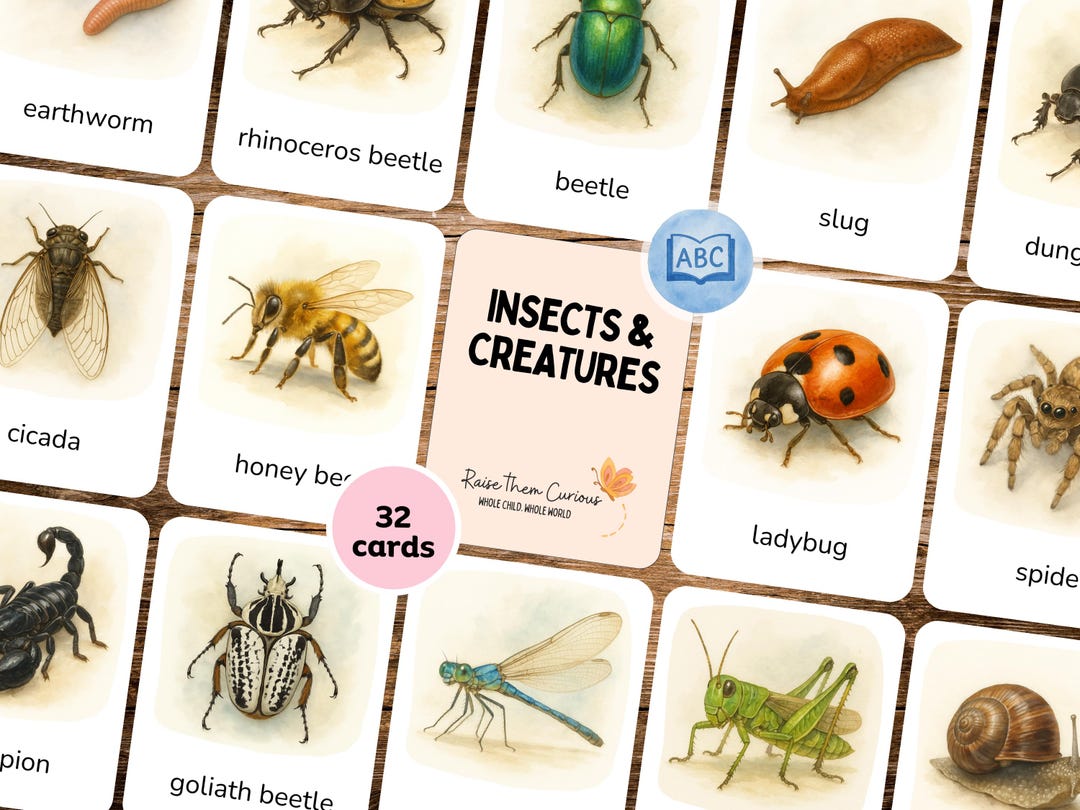 32 Insects & Creatures Flashcards | Montessori 3-part Cards | Wildlife ...