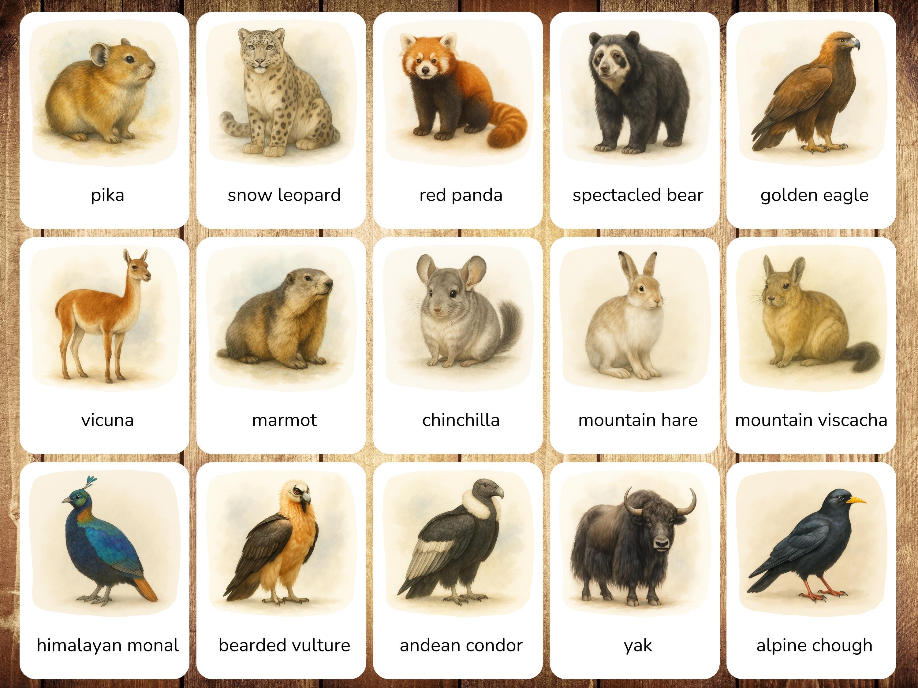 32 Mountain Animals Flashcards | Montessori 3-part Cards | Wildlife for ...