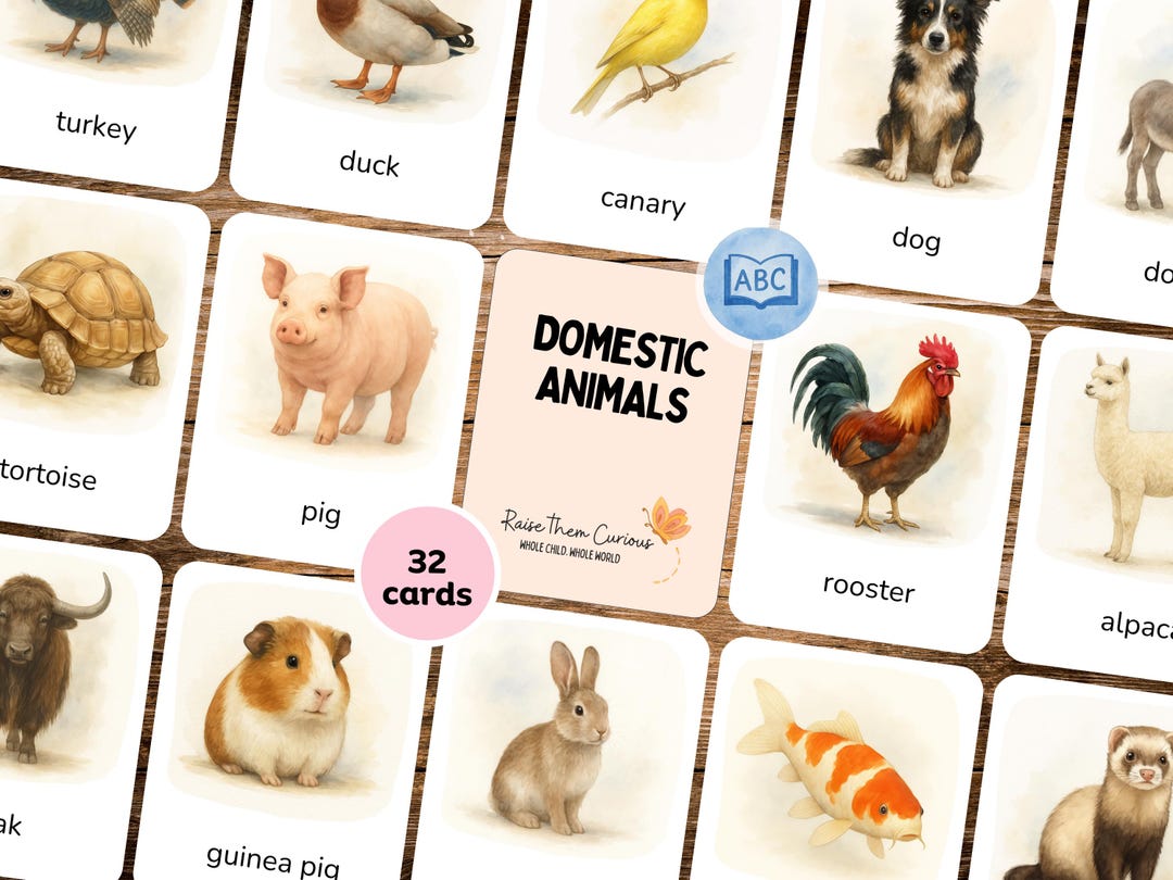 32 Domestic Animals Flashcards | Montessori 3-part Cards | Wildlife for ...