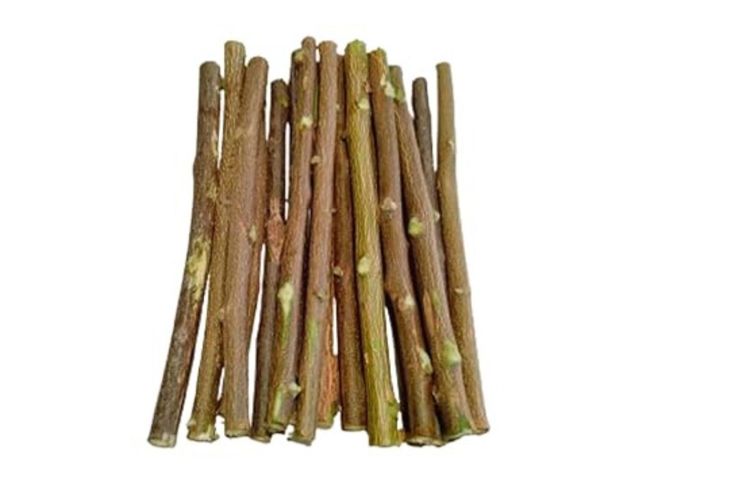 Organic Neem Datun Neem Sticks Neem Chew Sticks for Healthy Teeth ...