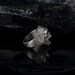 Silver Angry Gorilla Ring, , African Gorilla Men Ring, Mens Ring ...