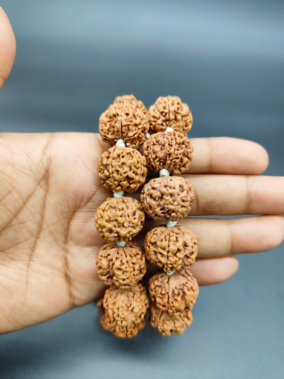 5 Mukhi / Five Face Rudraksha Mala Nepal 541 Beads 22-23mm - Etsy