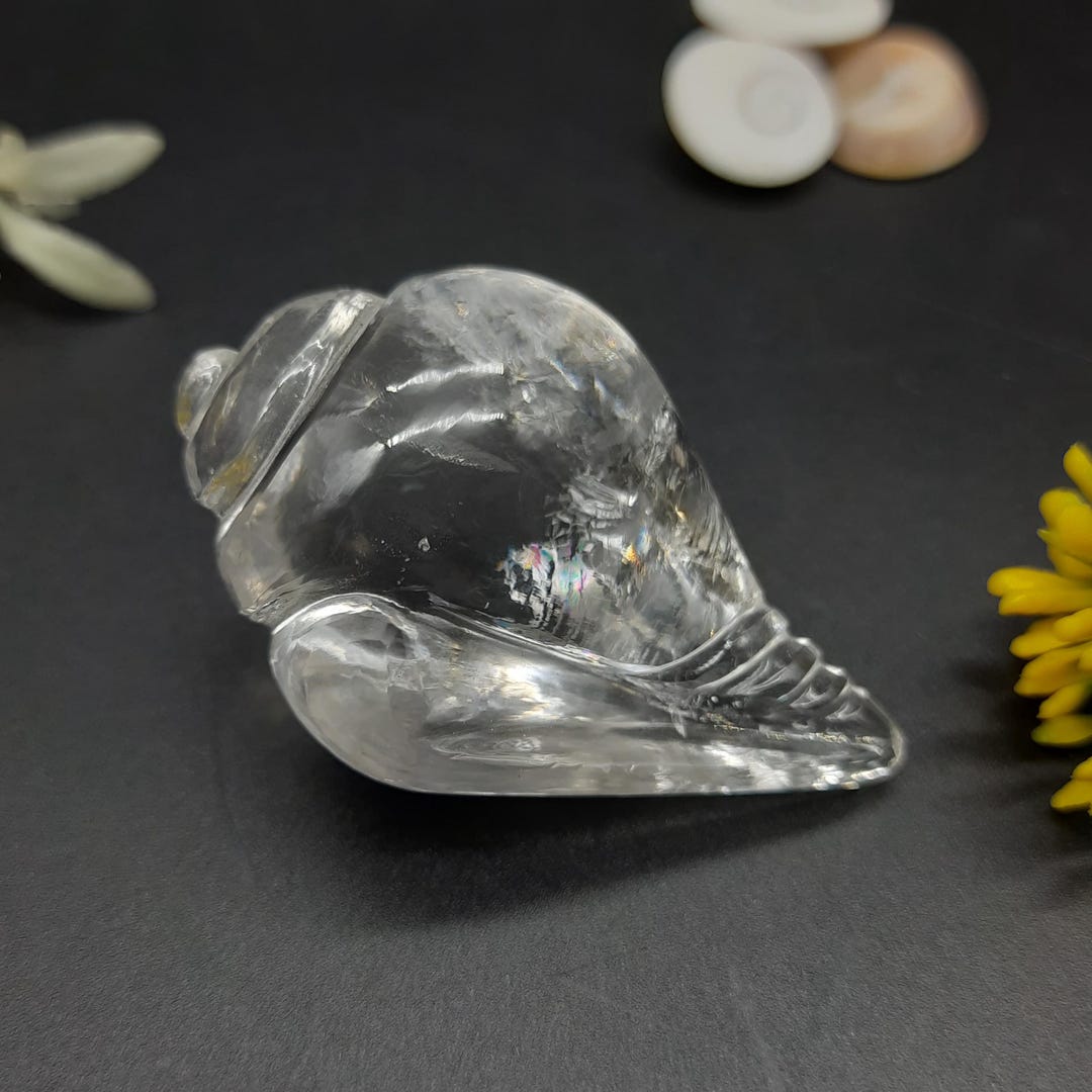 Clear Quartz Conch • Hand-carved Sphatik Crystal Shank, Healing ...