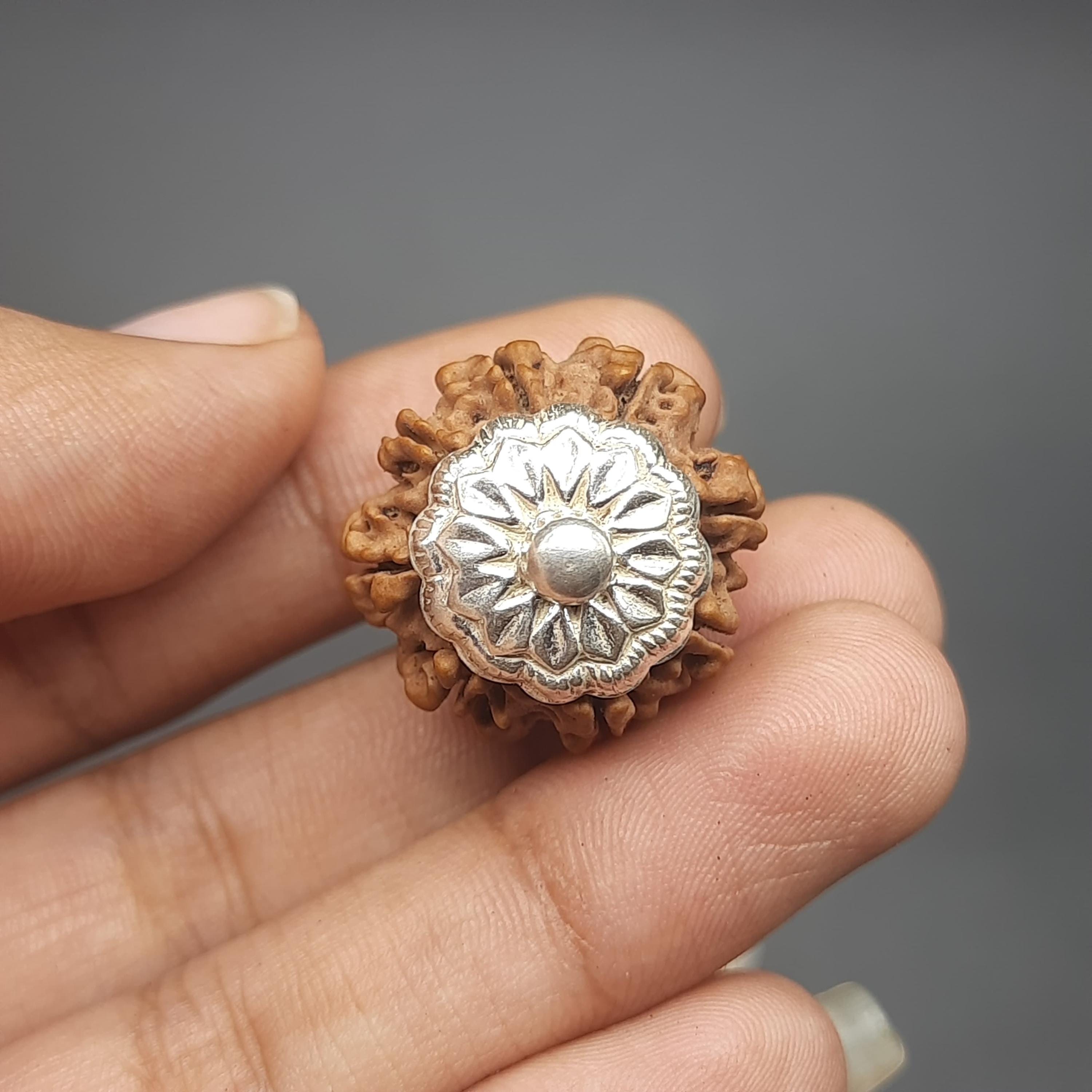 8 Mukhi / Eight Face Nepal Rudraksha With Pure Silver Pendent 22-23 Mm ...