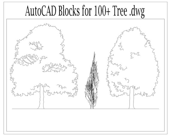 Autocad Tree Drawings