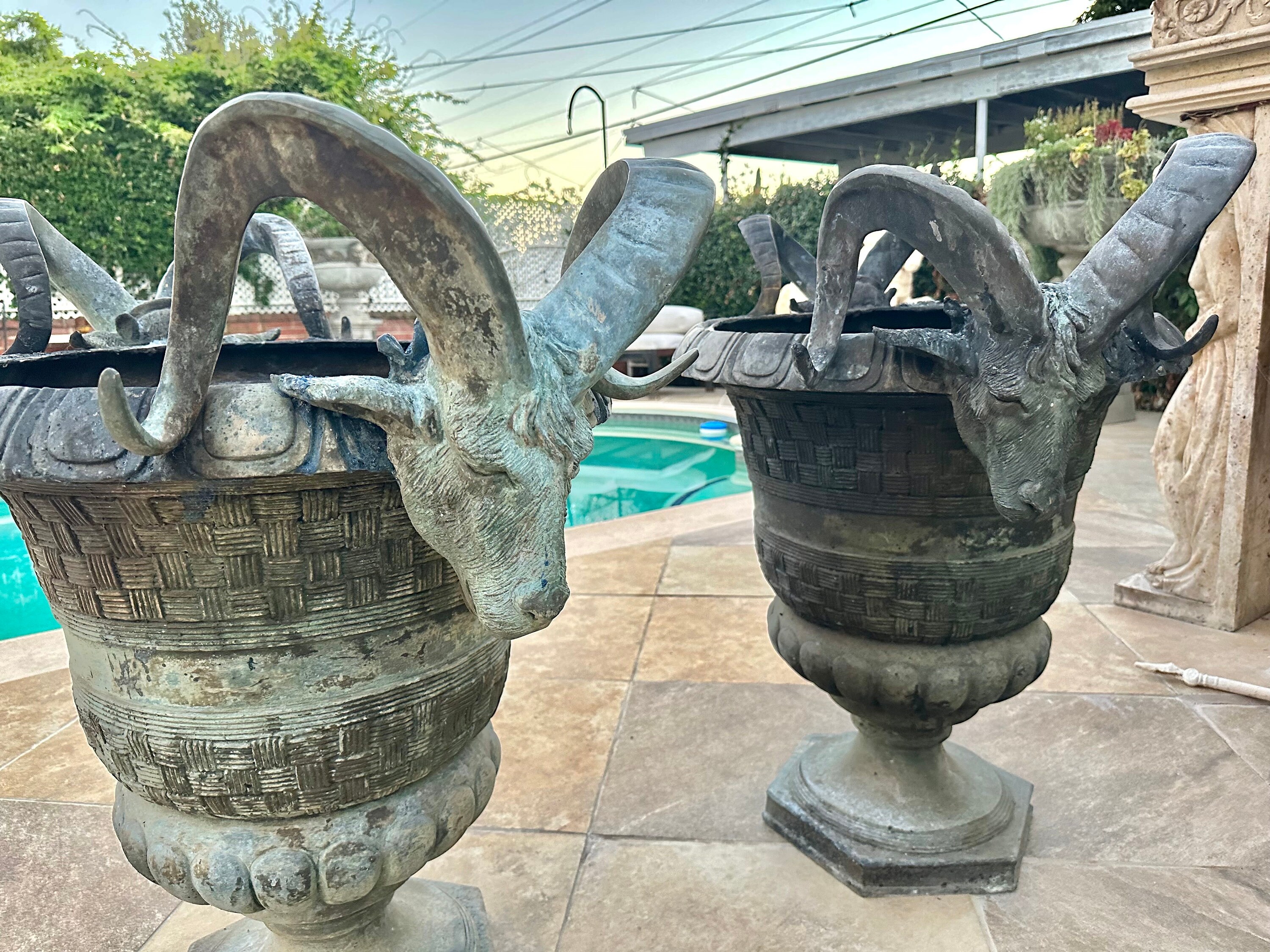 Large Pair of Antique Patinated Ram Goat Head Bronze Urn Planters - Etsy
