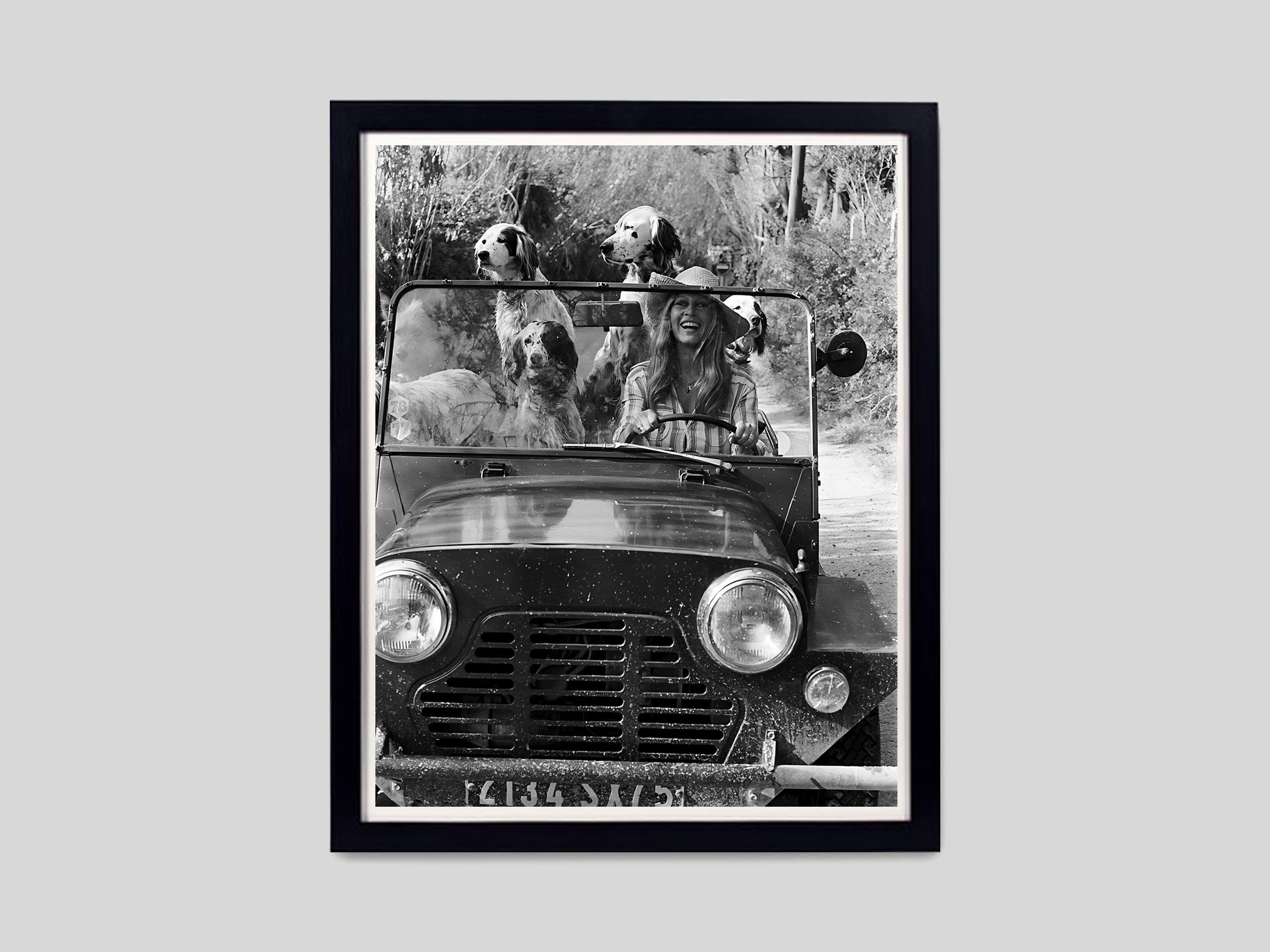 Brigitte Bardot with Dogs in Classic Car Poster sold by Paul Rover ...