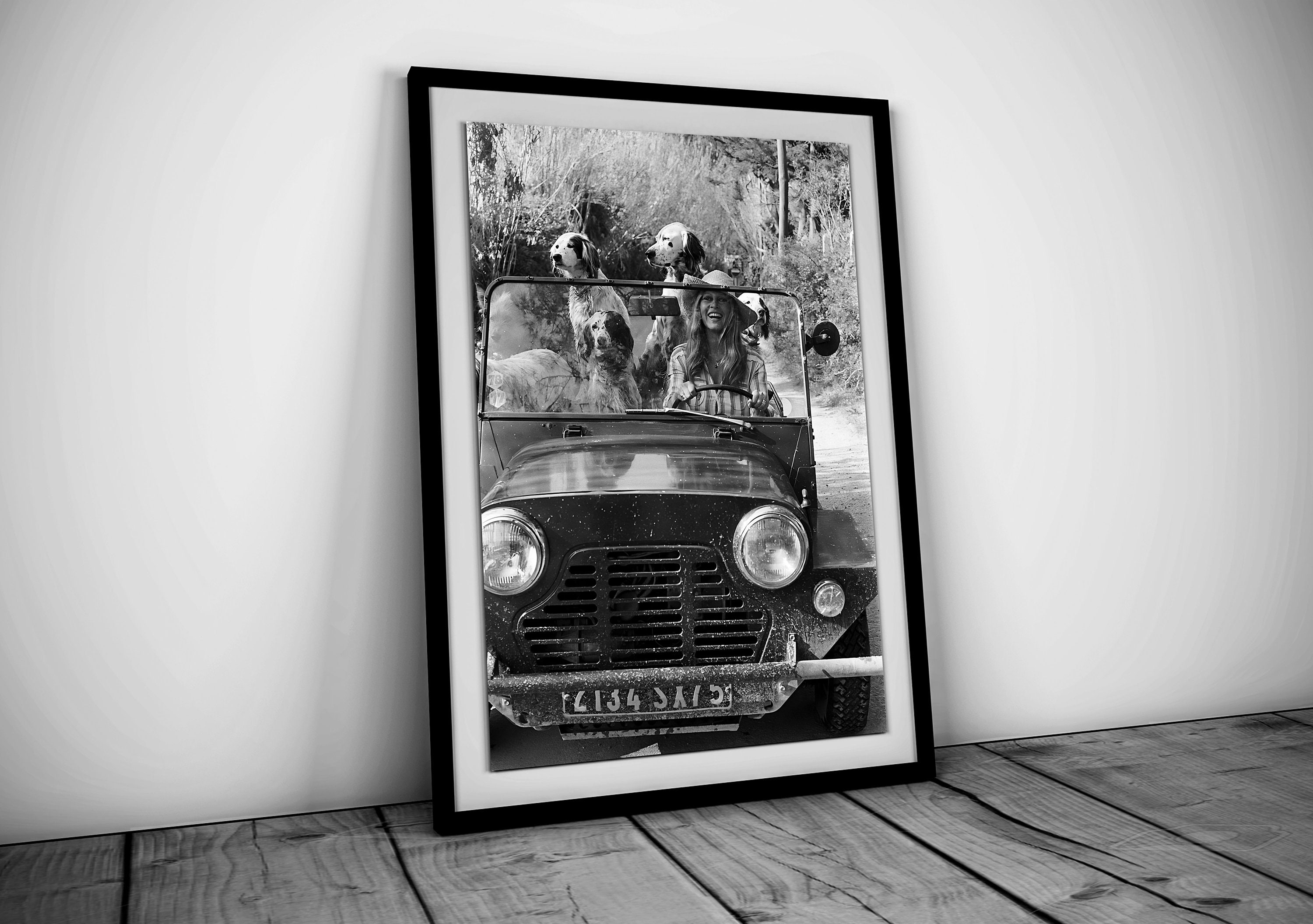 Brigitte Bardot with Dogs in Classic Car Poster sold by Paul Rover ...