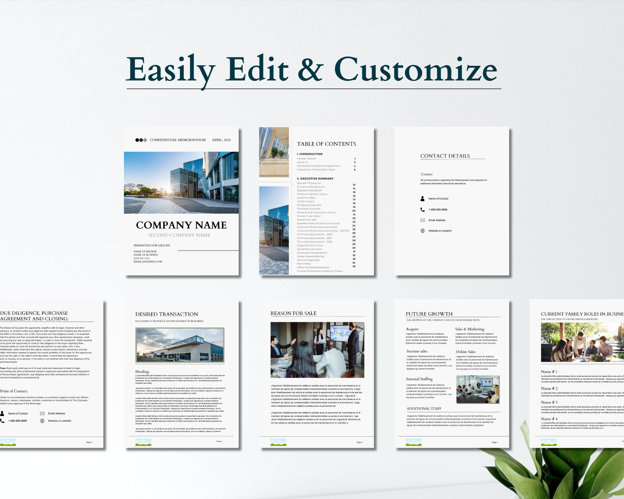 CIM Portfolio Template, Confidential Information Memorandum, CIM, CIM ...