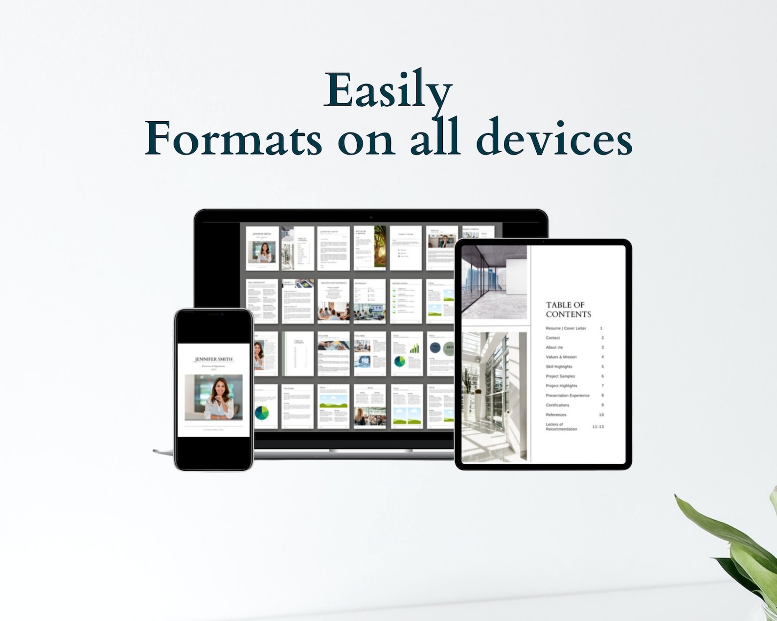 Professional Portfolio Template, Professional Resume, Professional Organizer, Career Portfolio ...
