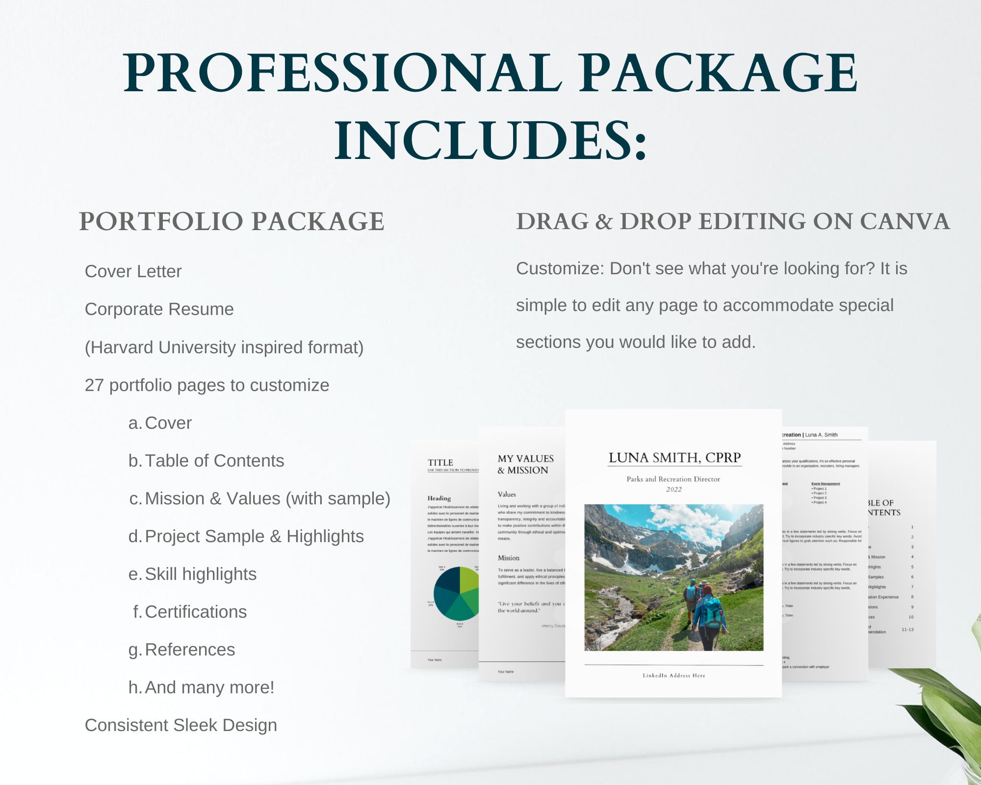 Professional Portfolio Template Canva, Professional Resume and Cover ...