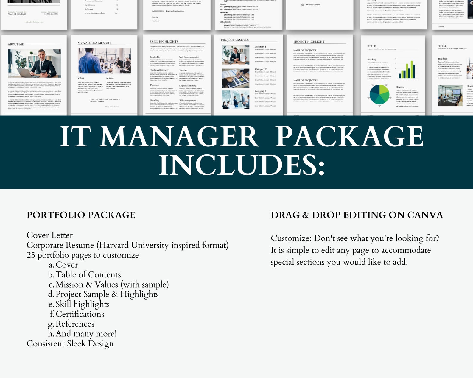 IT Manager Professional Portfolio Template, Canva Portfolio, Tech Jobs ...