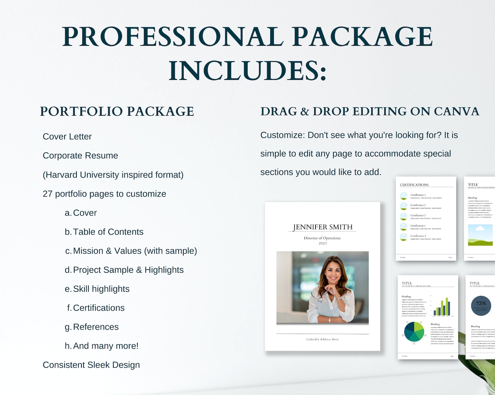 Professional Portfolio Template, Professional Resume, Professional ...