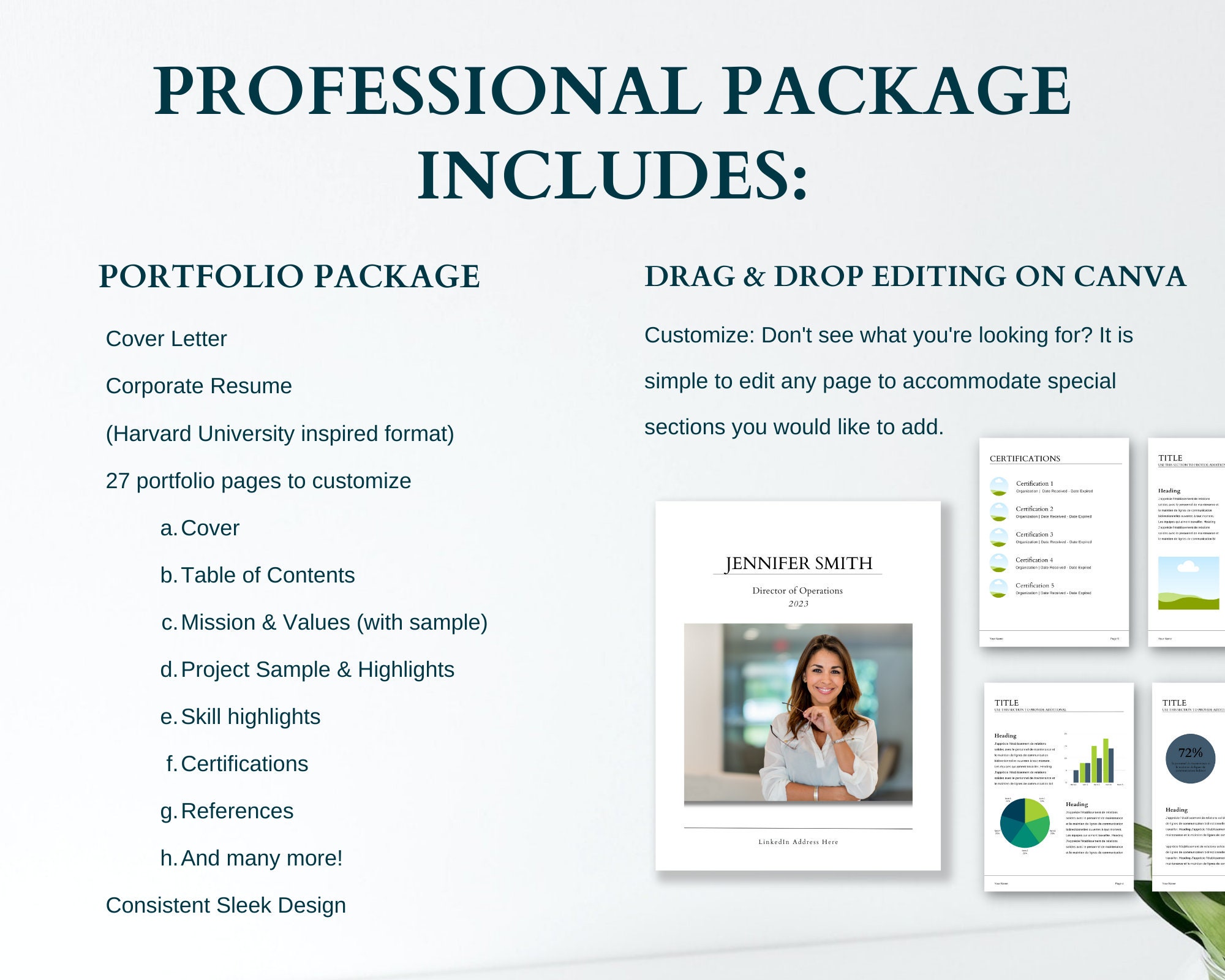 Professional Portfolio Template, Professional Resume, Professional ...